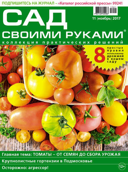 Сад своими руками №11/2017 [Цифровая книга]