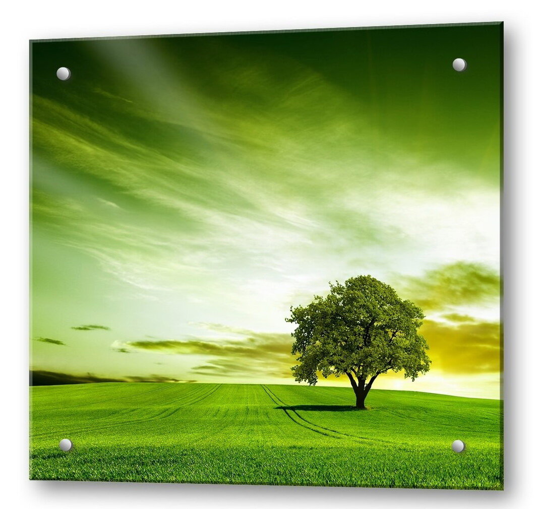 Кухонный экран из закаленного стекла "зеленое поле" - (600х600х4 мм)