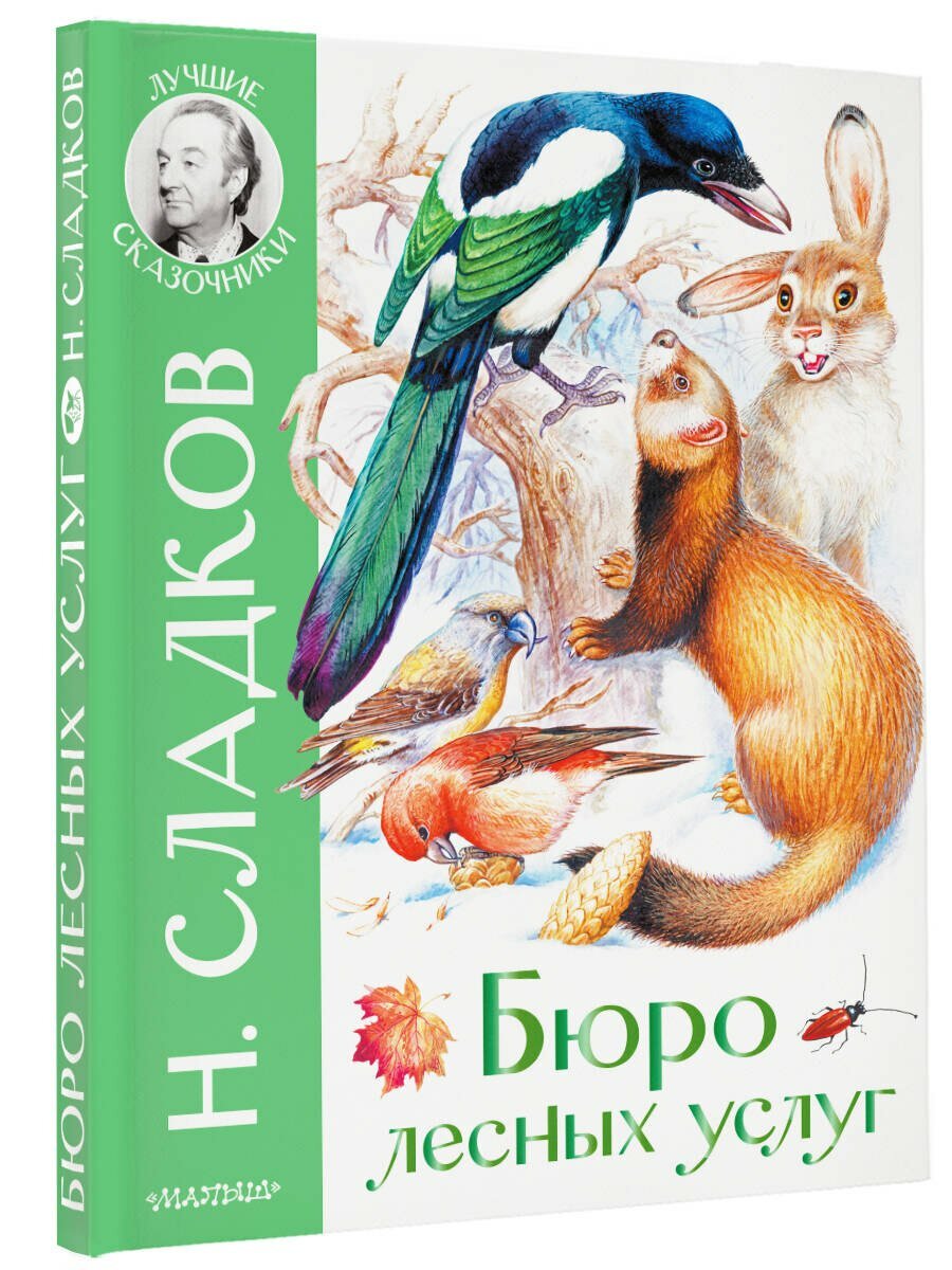 Бюро лесных услуг — фото 1