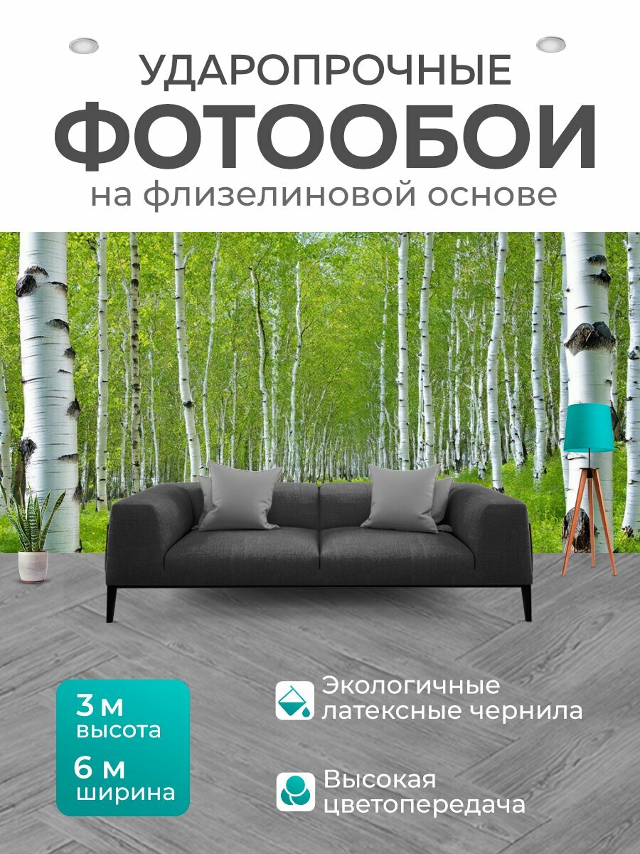 Фотообои моющиеся ударопрочные "Березовая роща с белыми стволами деревьев и зеленым травяным покрытием" 600x300 см. флизелиновые на стену