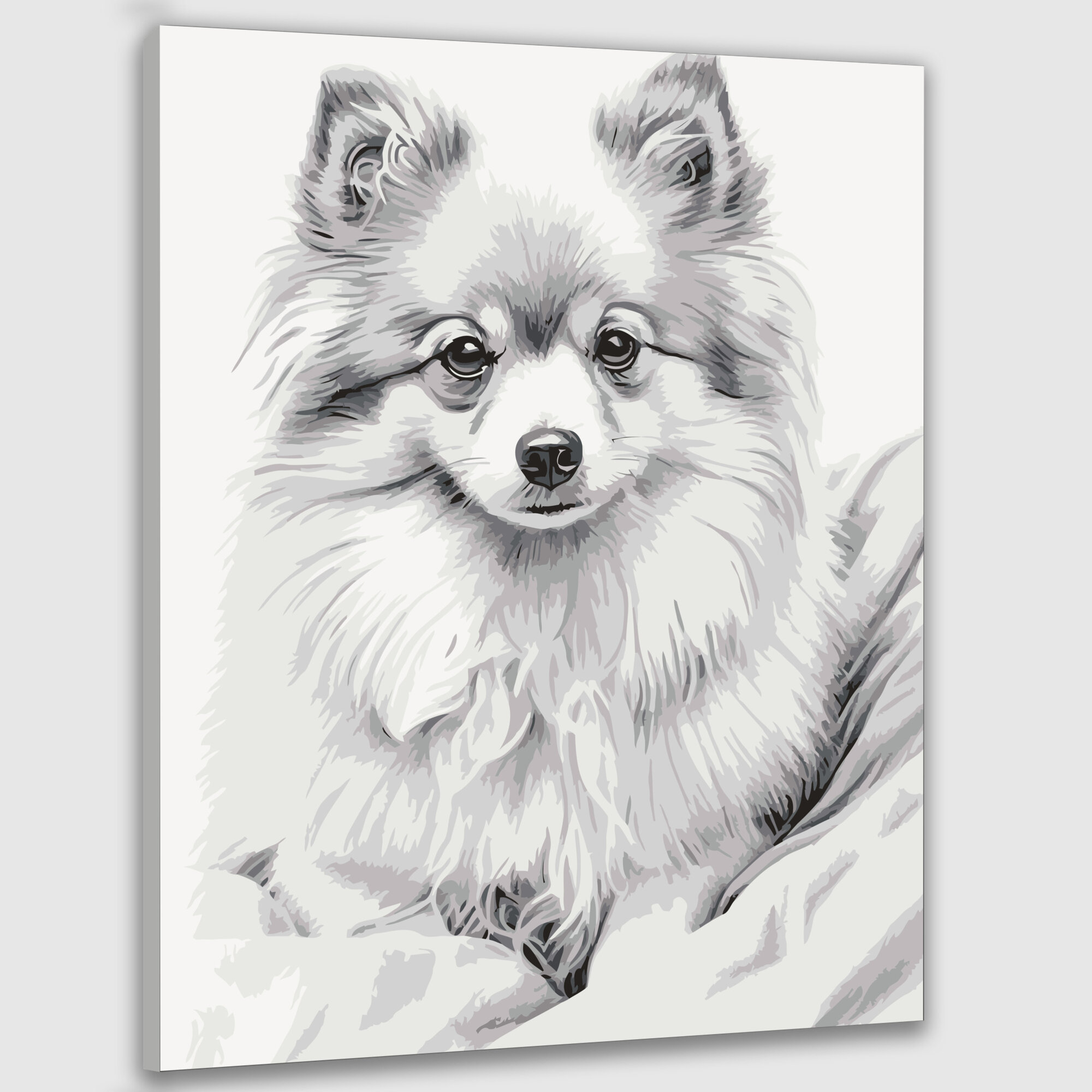 Картина по номерам 40x50 см, собака, шпиц, уголь, набросок, коврик, голова на лапы, детали собачьего меха