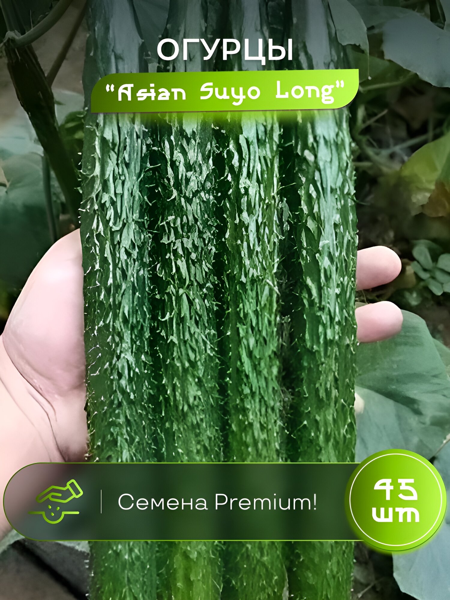 Огурец Suyo Long азиатский семена 45 шт.