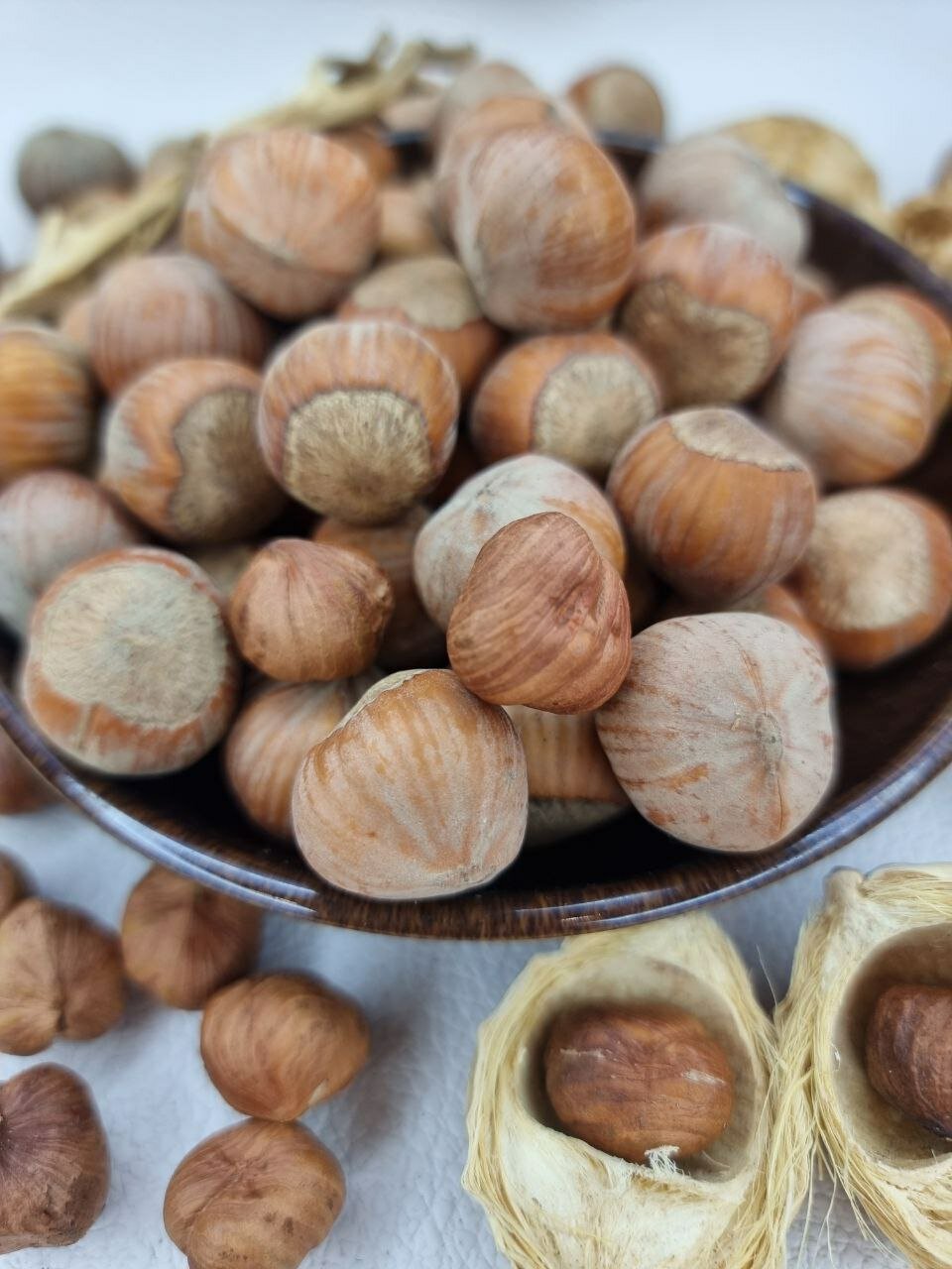 Фундук в скорлупе