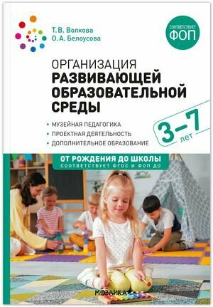 Организация развив. образоват. среды 3-7 лет