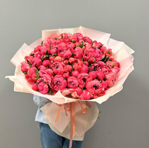 Пионы коралловые 101 шт
