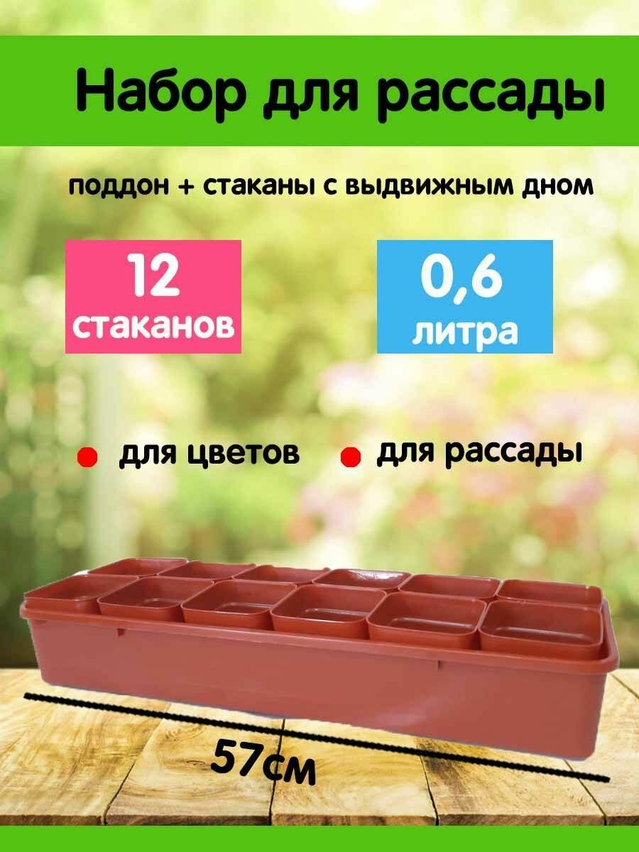 Набор для рассады "Рассадушка-1" 12 стаканов 0,6л+ящик, терракотовый, Сузун