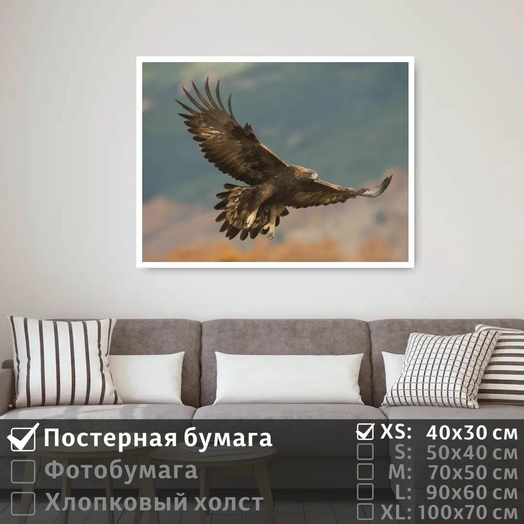 Постер на стену Парящий Орел В Небе 40х30 см ПолиЦентр