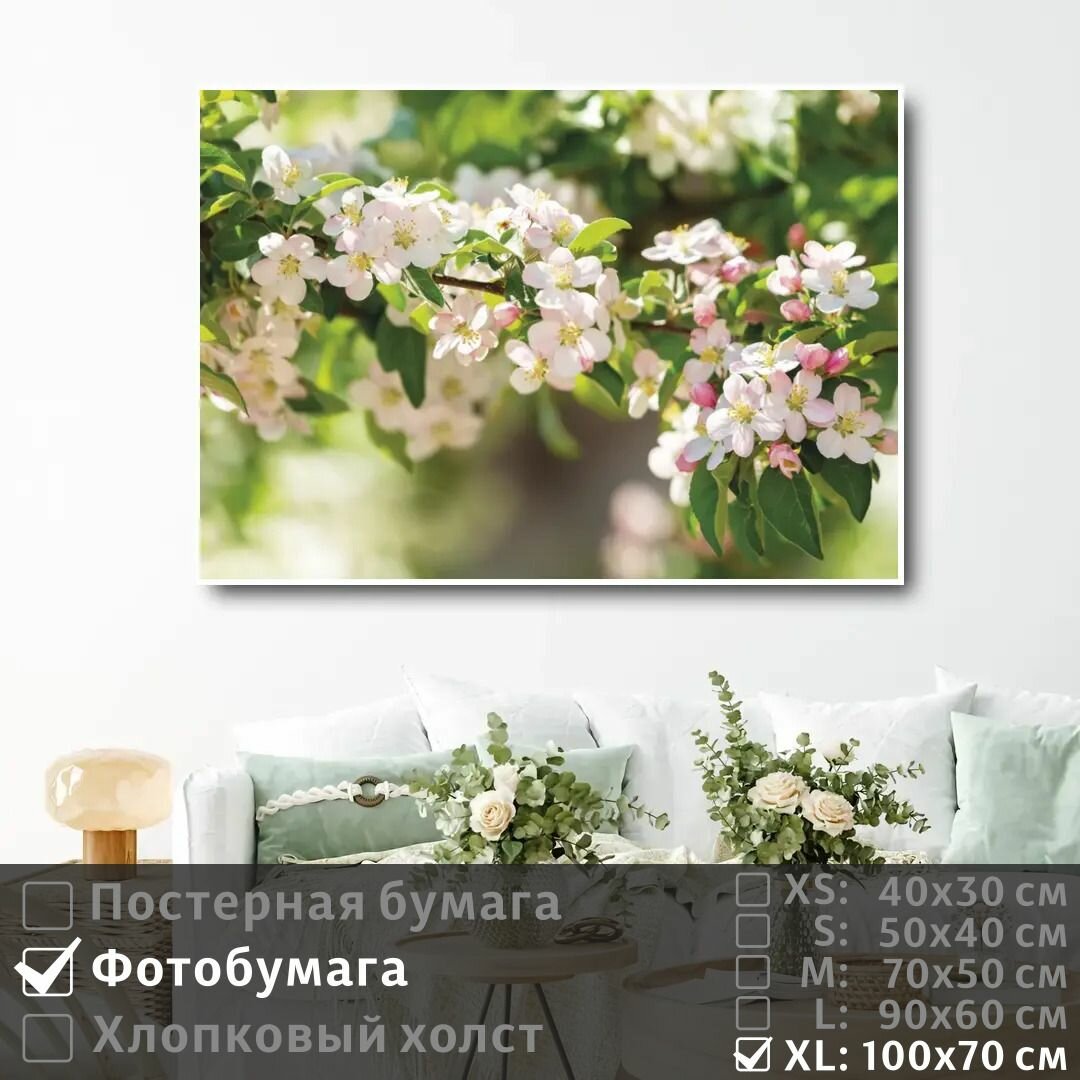 Постер на фотобумаге Весенняя Ветка Яблони 100х70 см ПолиЦентр