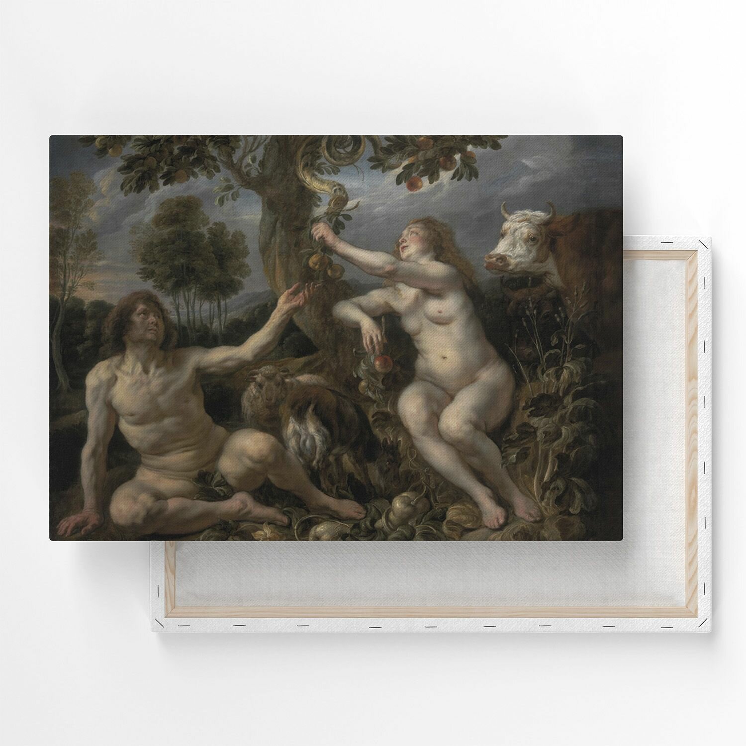 Картина на холсте, репродукция / Якоб Йорданс - Adam and Eve / Размер 60 x 80 см