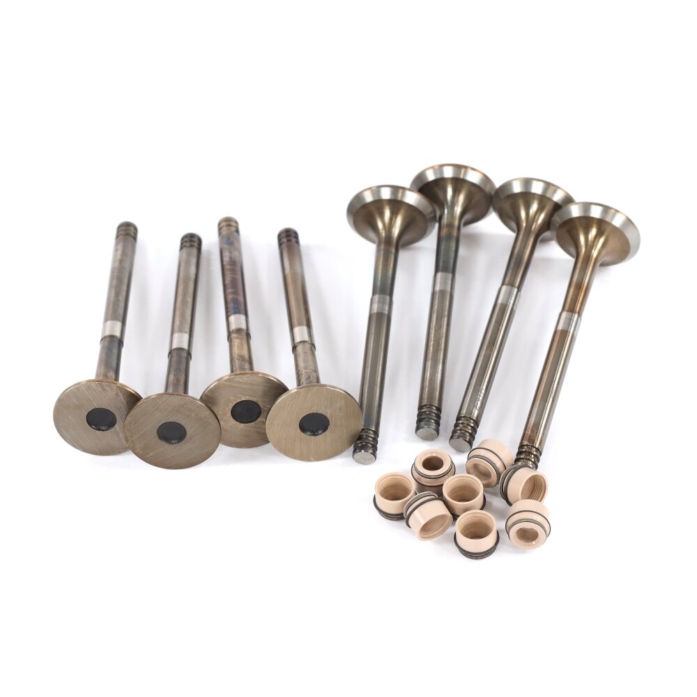 Клапан выпускной для а/м с дв.405,406,409 с масл. колп.(кт. 8 шт.) Riginal