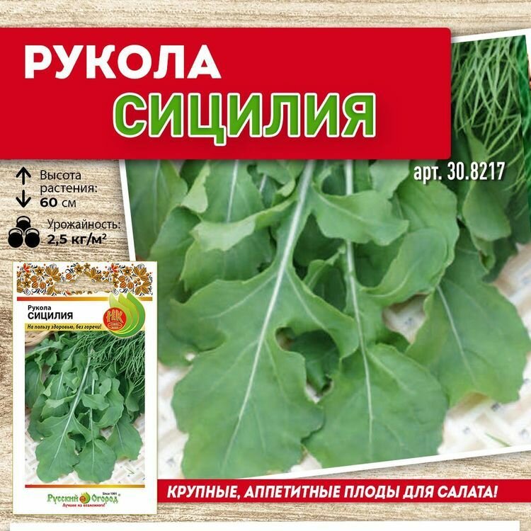 Рукола Сицилия — фото 1