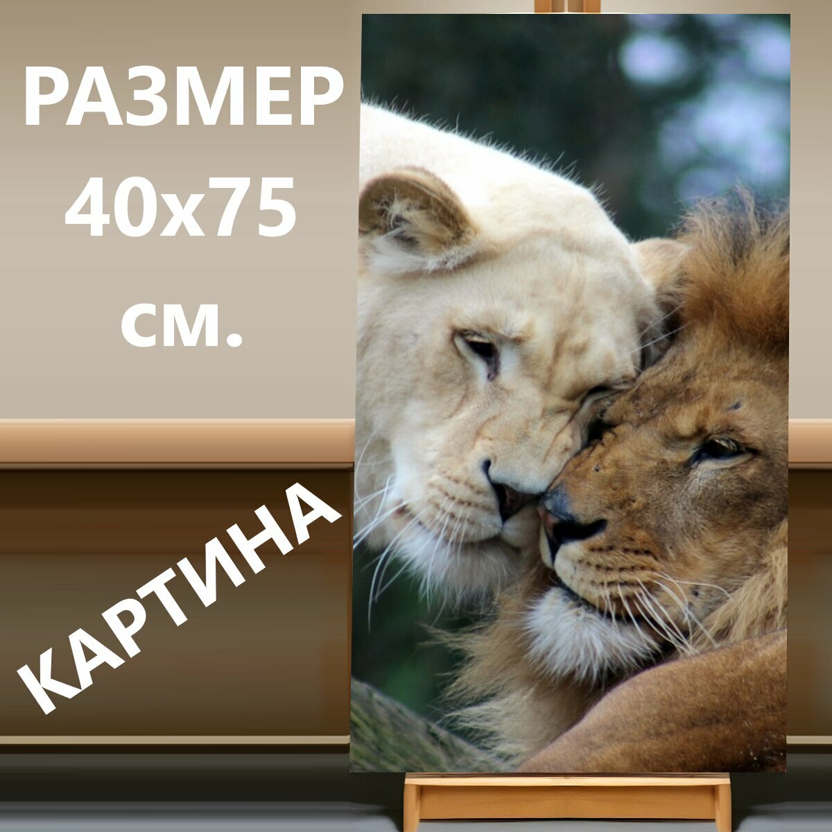 Картина на холсте "Лев, львица, большой кот" на подрамнике 75х40 см. для интерьера