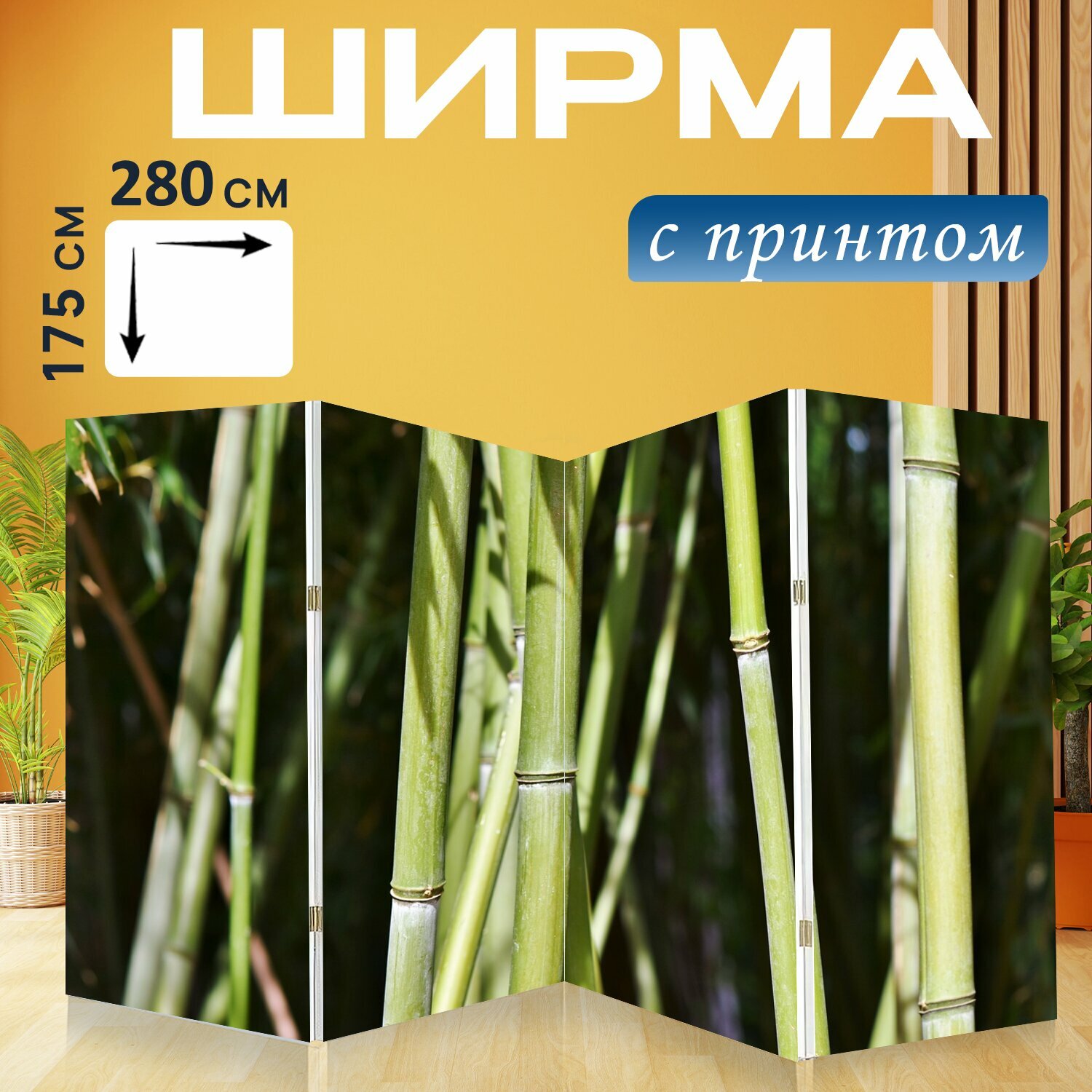 Ширма "Бамбук, бамбуковый лес, гигантский бамбук" перегородка для зонирования комнаты с принтом 280x175 см. на холсте