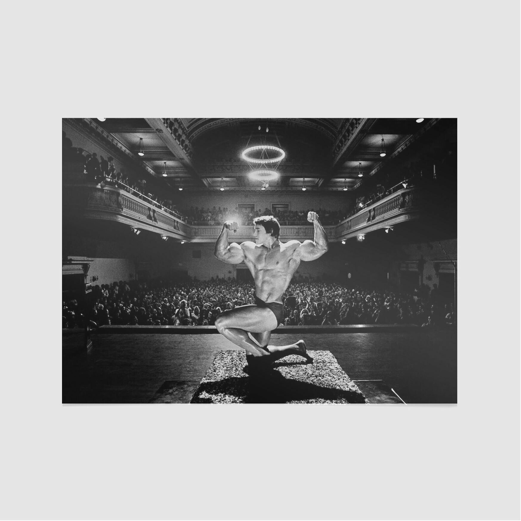 Постер (плакат) Арнольд Шварценеггер 60x40 см. от Poster4me