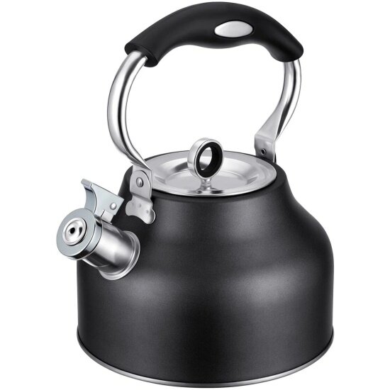 Чайник Regent Inox со свистком Linea TEA 2,5л 93-TEA-49