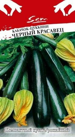 Семена Кабачок Черный Красавец цуккини 2г Ранние (Русский Огород)