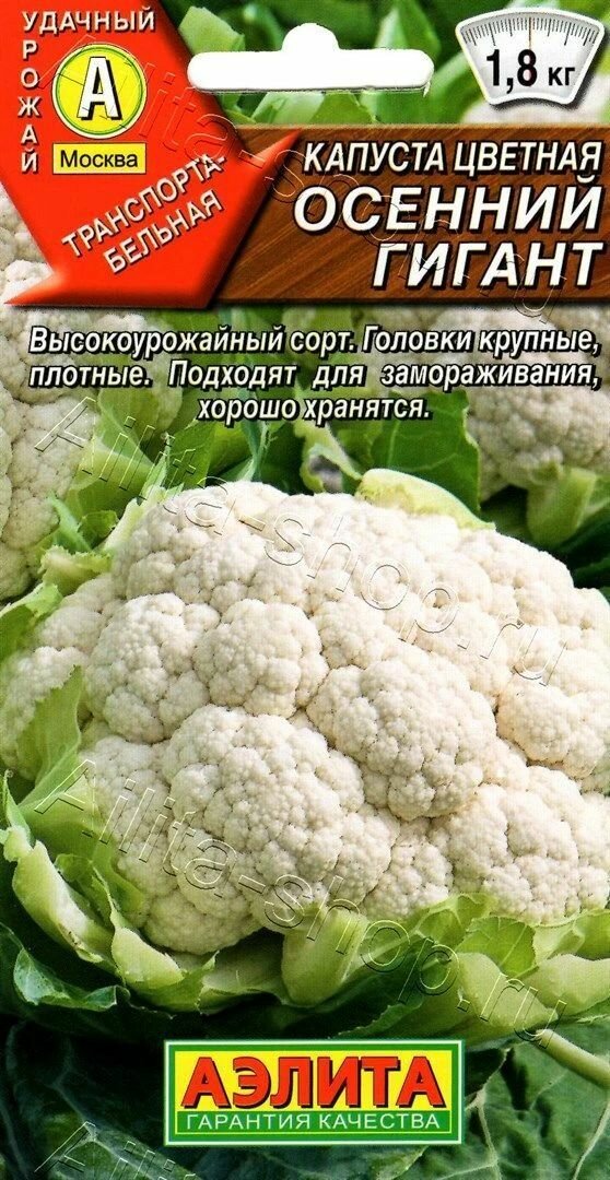 Капуста цветная Осенний гигант (3 упаковки), семена