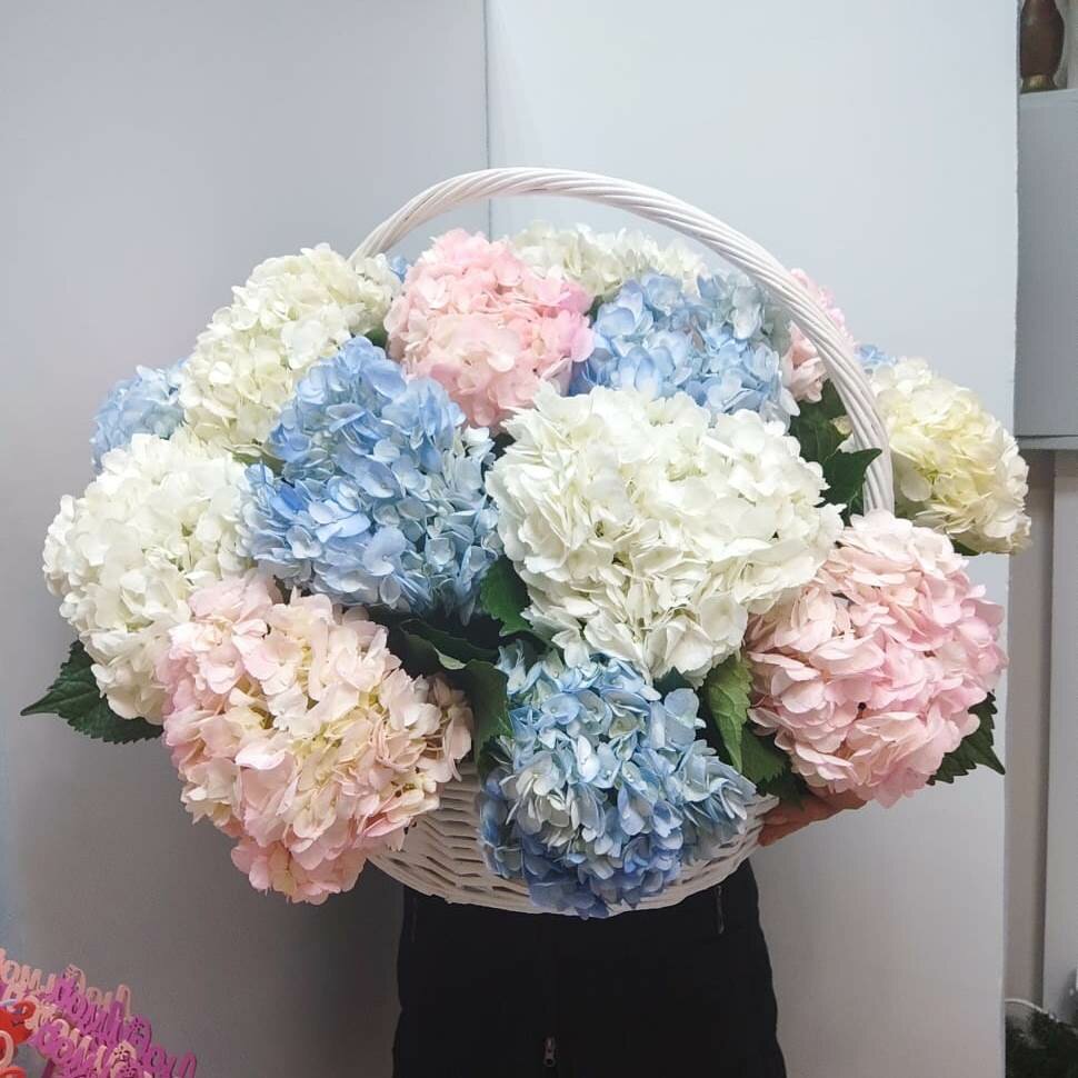 Букет "Гортензия", композиция в корзине, 25 цветок, белый, голубой, розовый