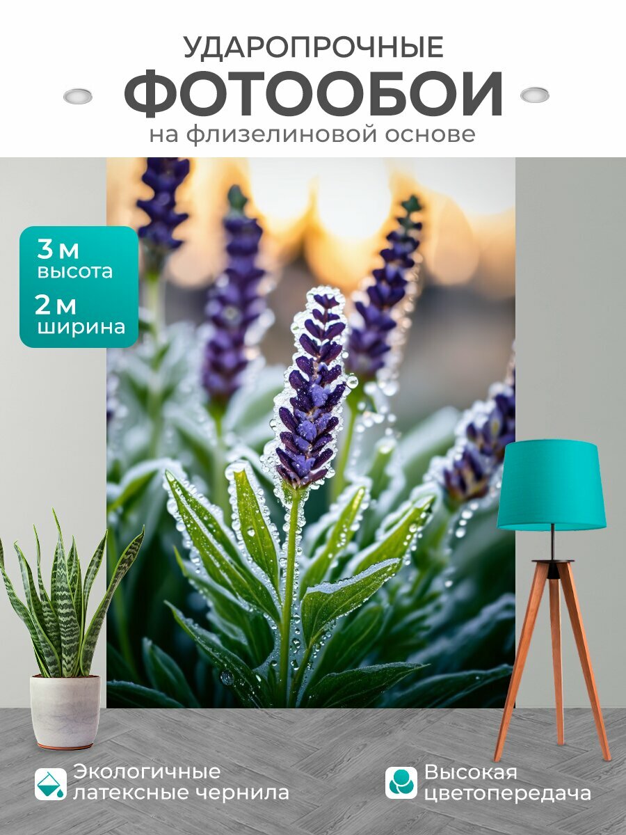 Фотообои моющиеся ударопрочные "Прованс, где дождевые капли застыли на краях цветков в сладком утре. техника натюрморта показывает тонкие текстуры" 200x300 см. флизелиновые на стену