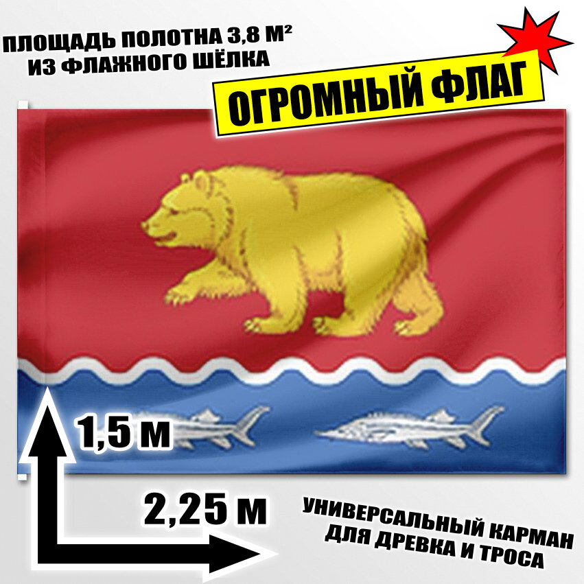 Флаг огромный Молчановского района 225x150 см