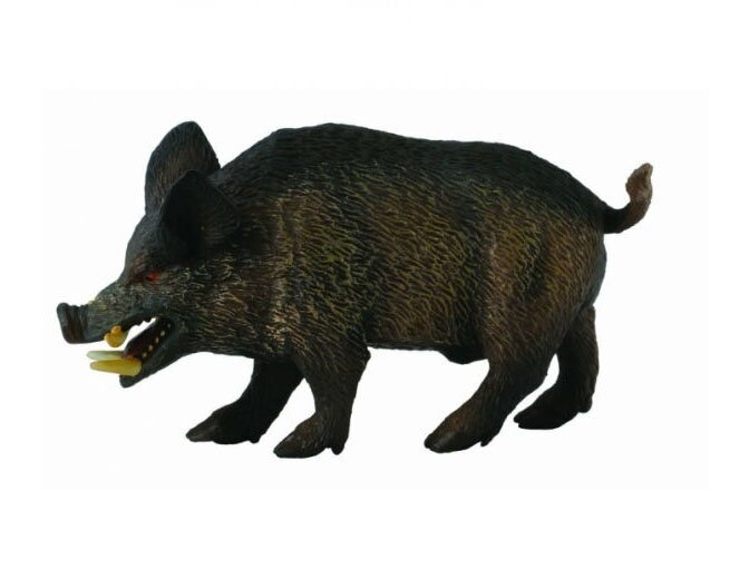 Фигурка Collecta Кабан, M (88363b)