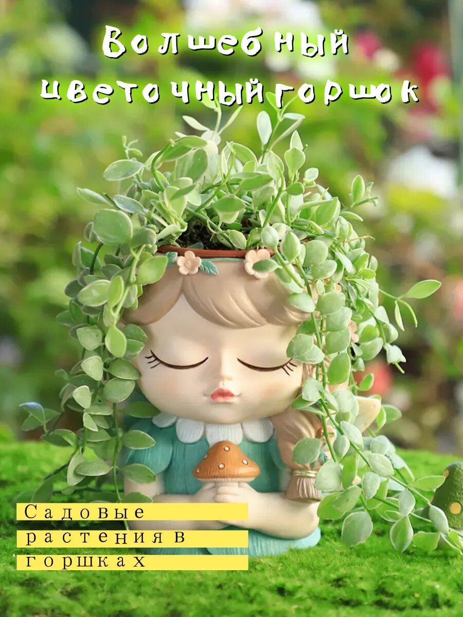 Ваза-кашпо для суккулентов