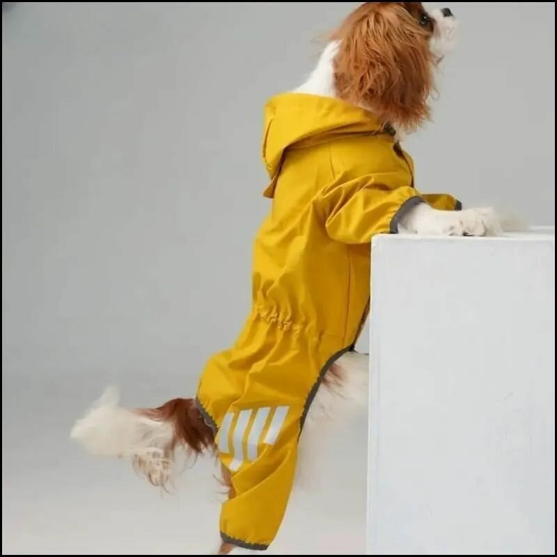 Эксклюзивный дождевик комбинезон для малых и средних пород собак
