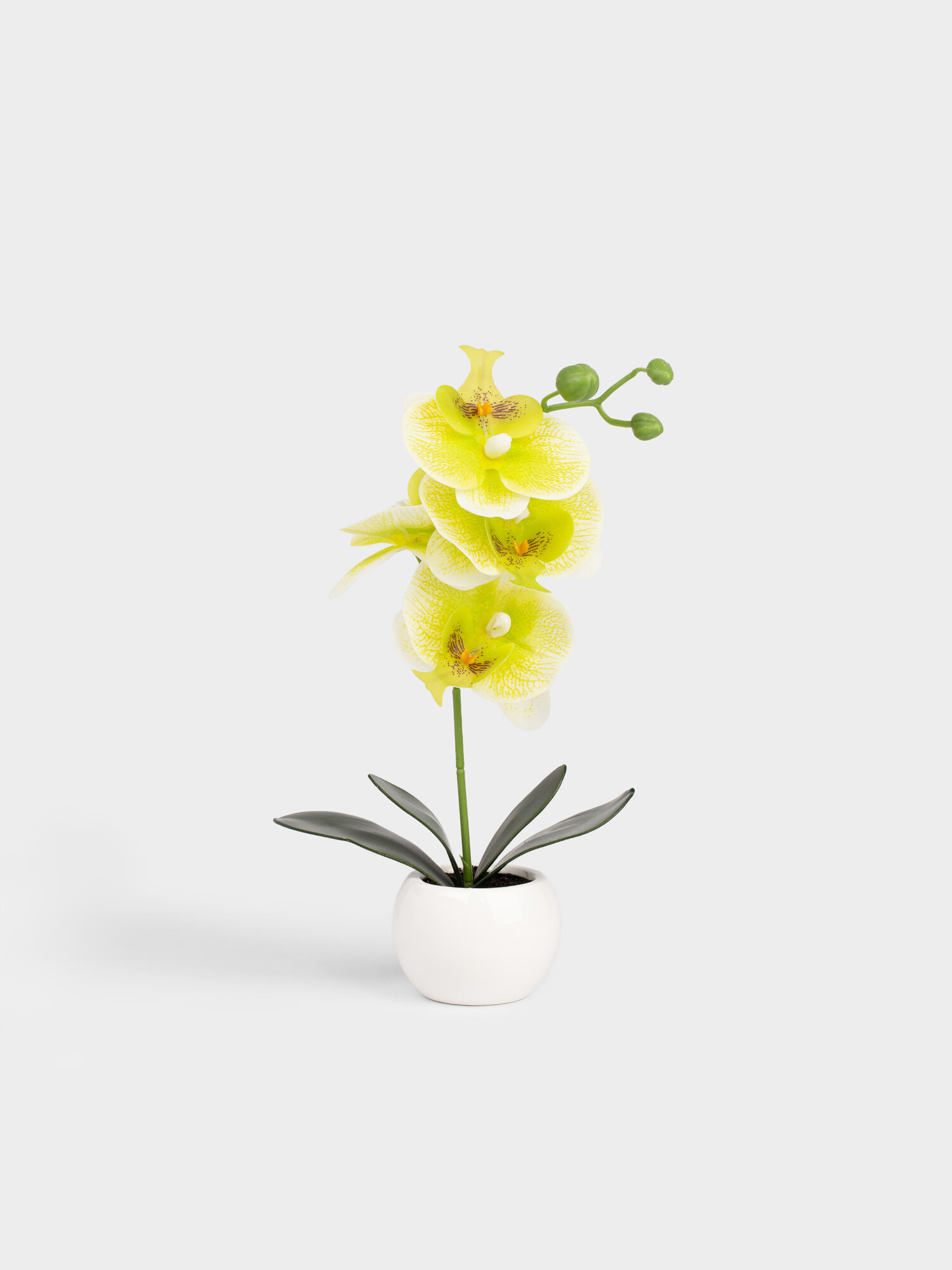 Растение искусственное, 34 см, в горшке, ТПЭ/керамика, Зеленая орхидея, Orchid, Kuchenland
