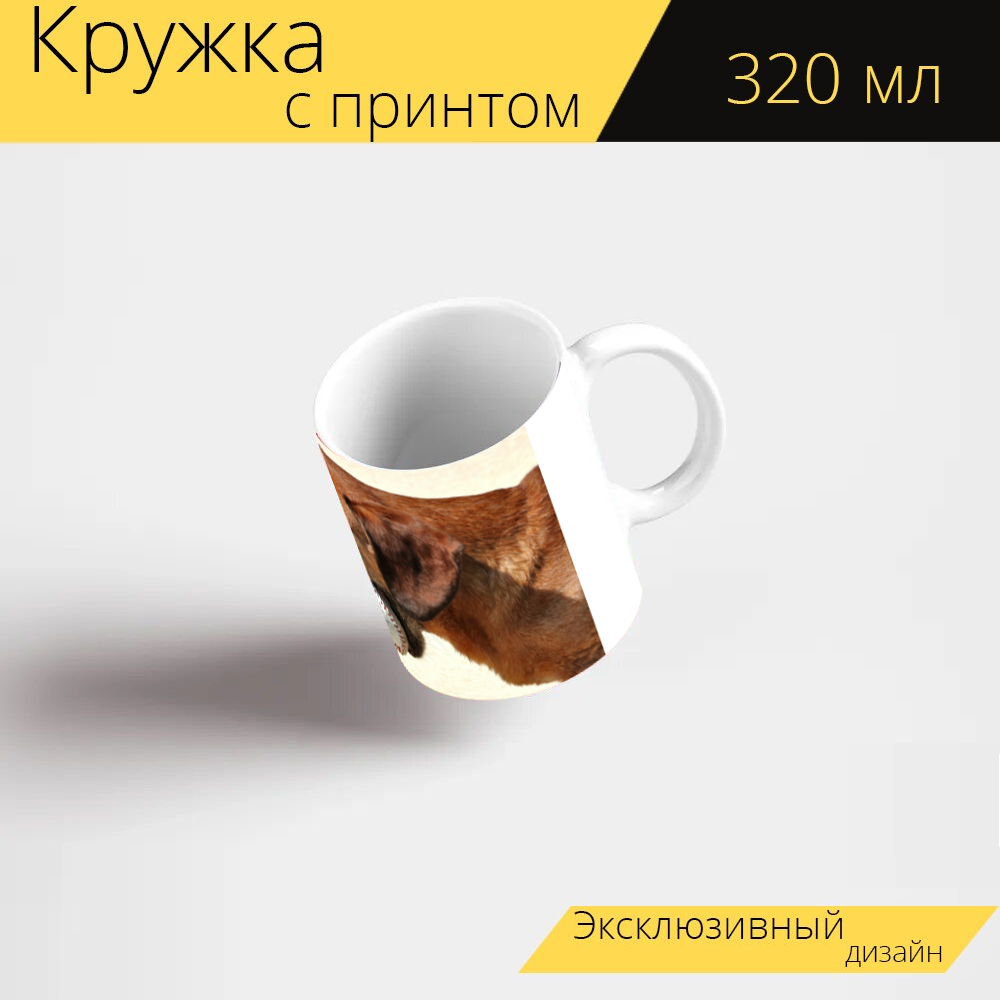 Кружка с рисунком, принтом "Такса с мячом крупным планом Крупный план собаки таксы, держащей во рту мяч. природа животное собака домашнее животное зрелый такса мяч держа." 320 мл.