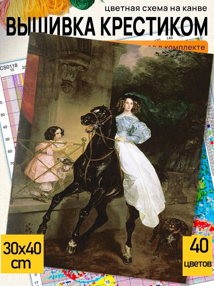 MEIAN Набор для вышивания,30x40CM,40 цветов, Чистый холст с сеткой,14CT, Женщина, едущая на лошади