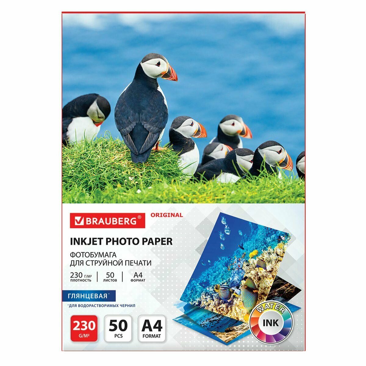 Фотобумага Brauberg Original (А4, 230 г/кв. м, глянцевое покрытие) пачка 50л. (363990)