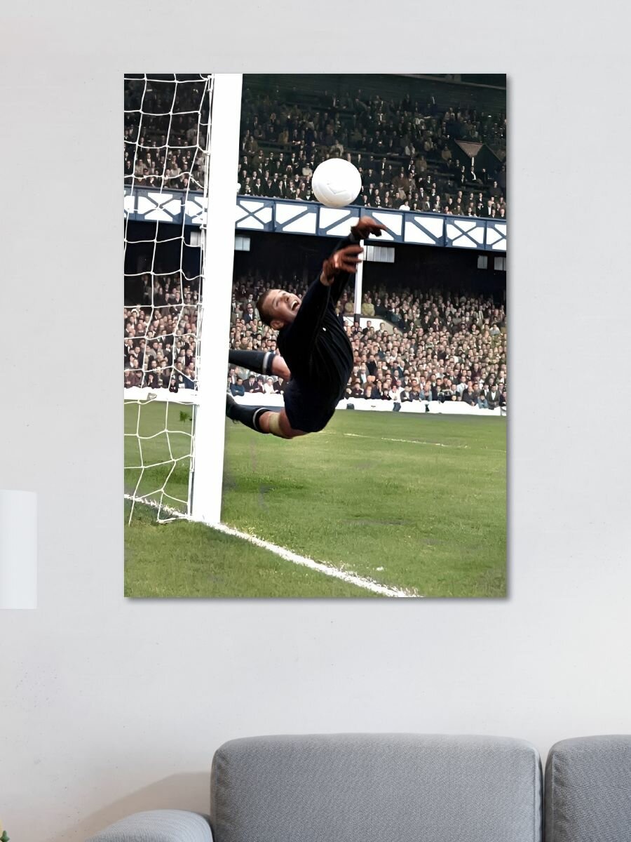 Картина на стену "Яшин" 50х70см 1шт.