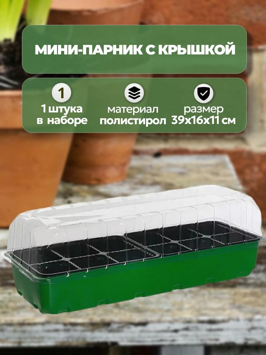 Мини-парник с крышкой 39х16х11 см, 12 ячеек, 2 вставки, цвет черно-зеленый. Емкость предназначена для выращивания рассады овощных, плодово-ягодных культур