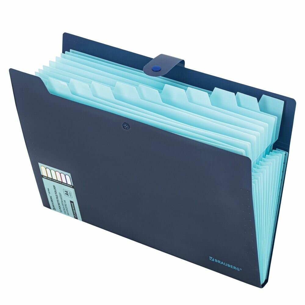 Папка-органайзер Brauberg на кнопке 12 отделений "Extra" А4, синяя с голубым (271933)