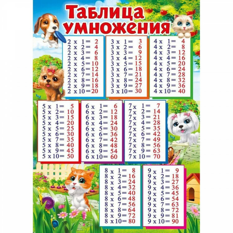 Плакат А4 Таблица умножения/Умножение двусторонний арт.071.122. Количество в наборе 10 шт.
