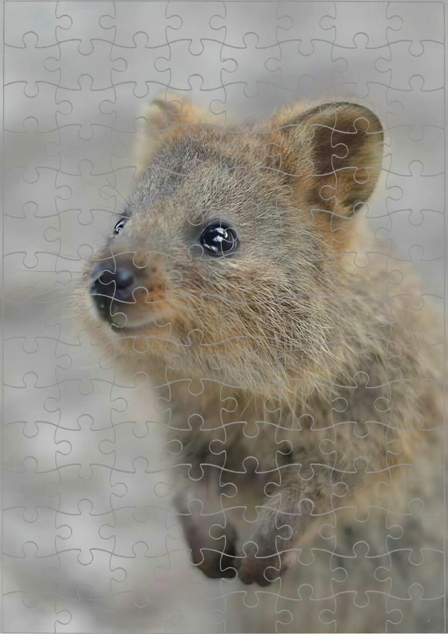 Пазл GOODbrelok А4 Квокка, Quokka