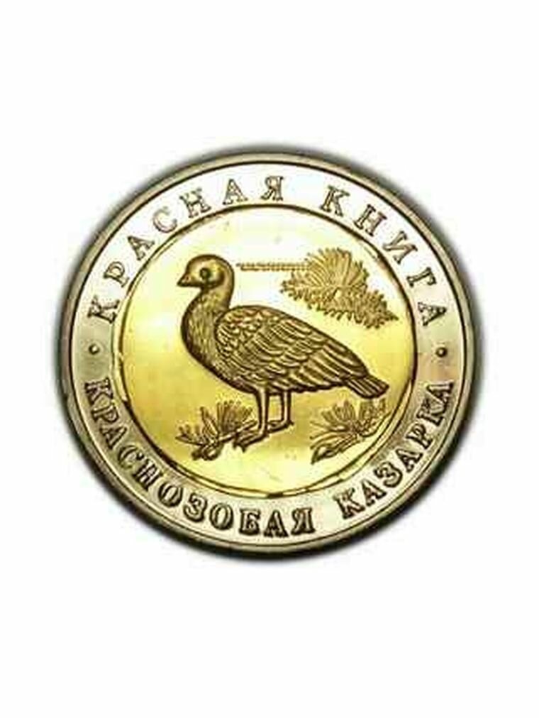 10 рублей 1992 года "Краснозобая казарка", красная книга, биметаллическая монета сувенирная копия монеты, нумизматика, деньги для коллекции