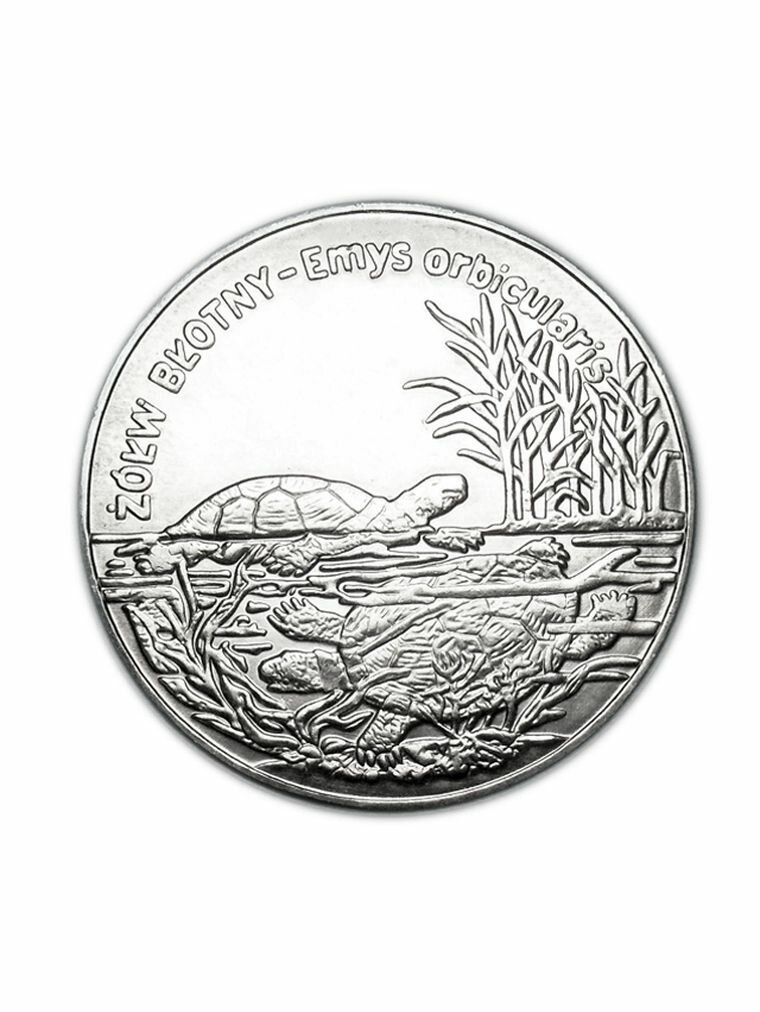 Польша 20 злотых 2002 Черепаха сувенирная копия монеты, нумизматика, деньги для коллекции