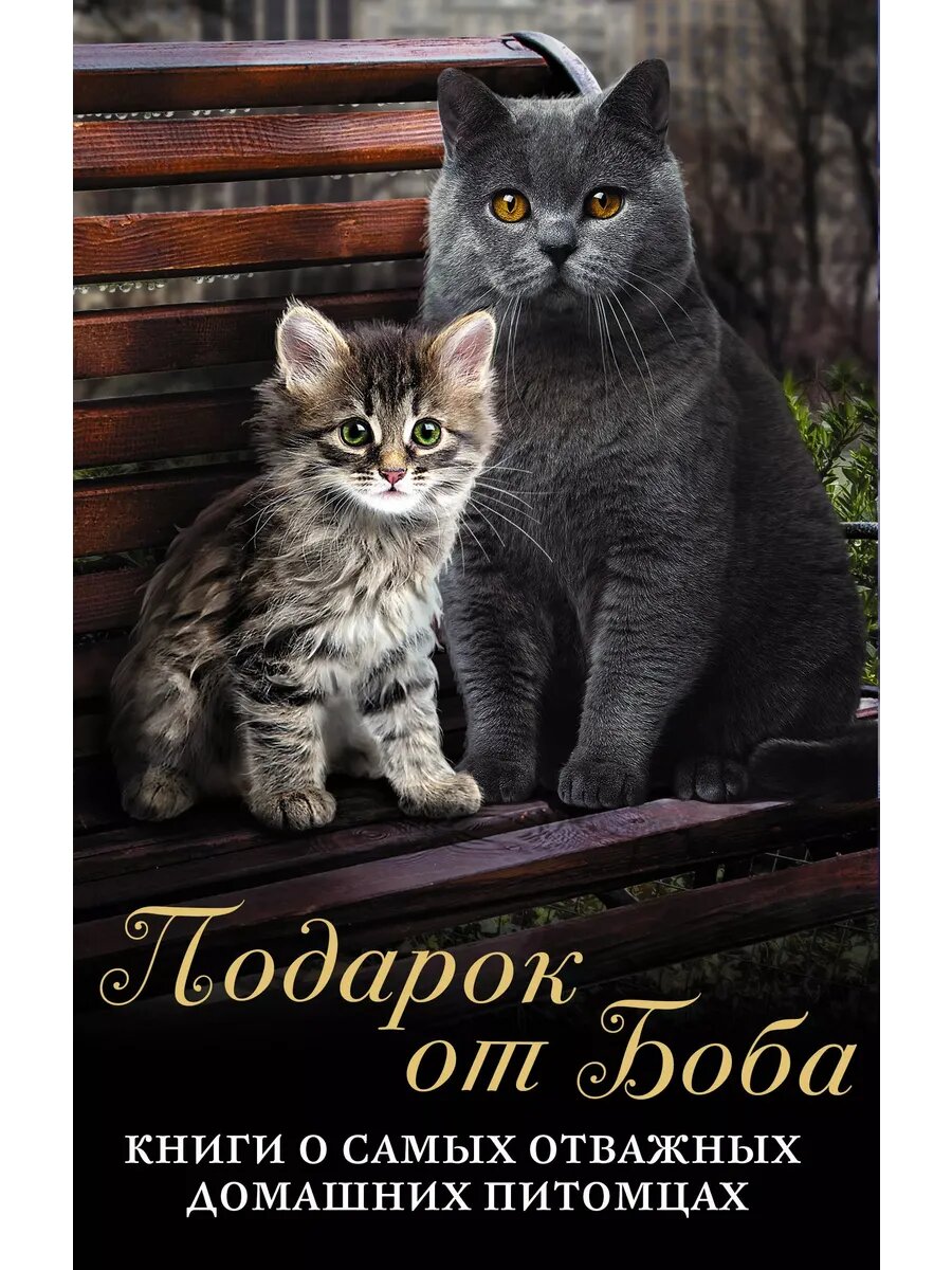 Подарок от Боба. Книги о самых отважных домашних питомцах (к