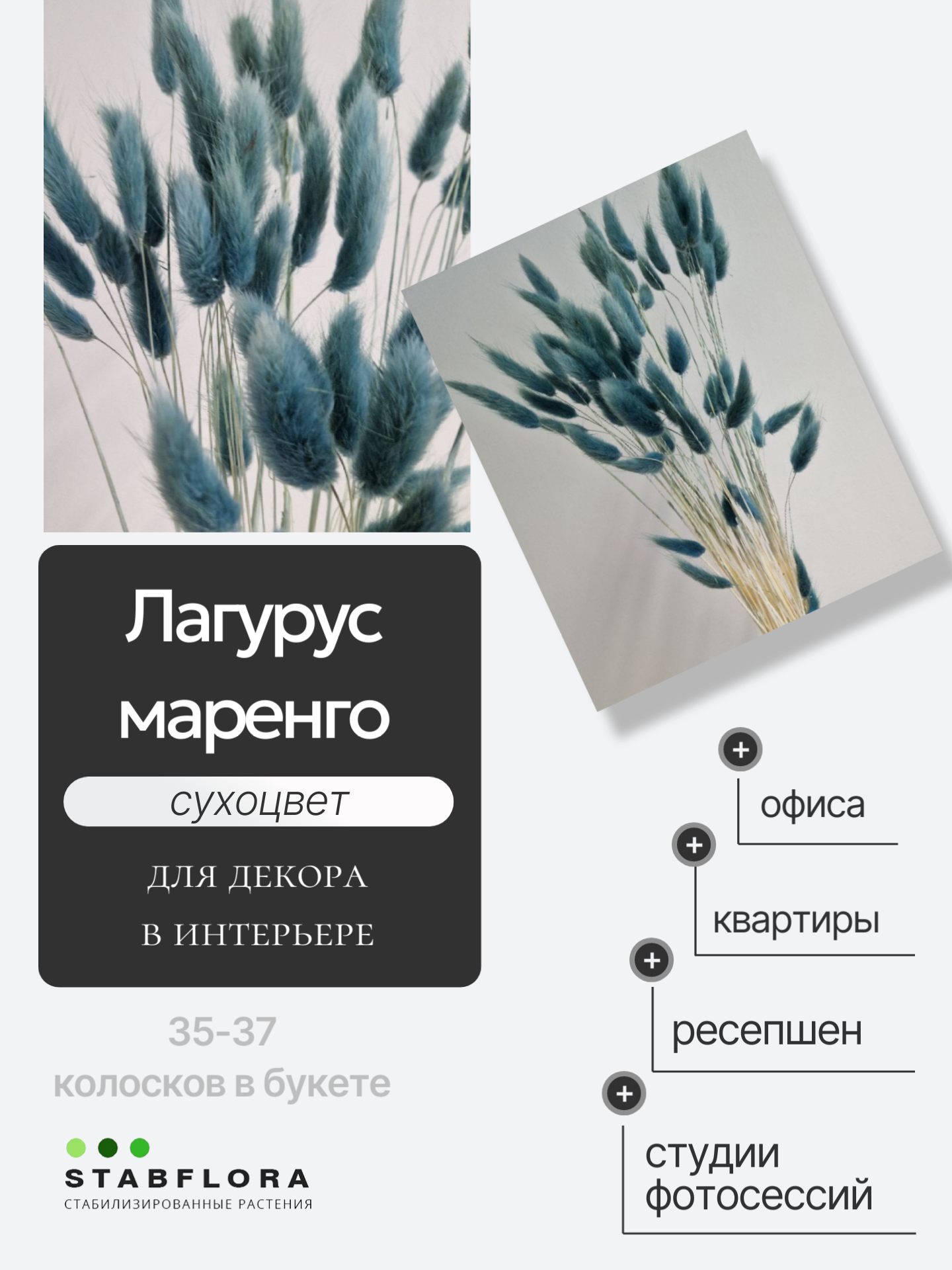 Сухоцвет Лагурус маренго для декора, букет "Зайцехвост" (35 штук)