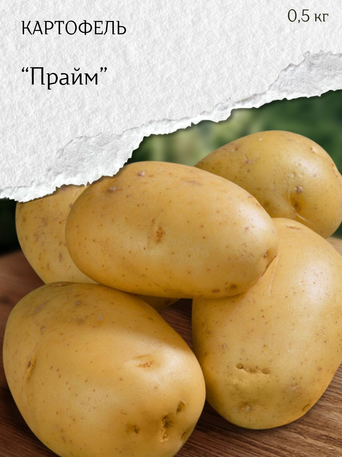 Картофель семенной белый Прайм клубни на посадку 500 гр.