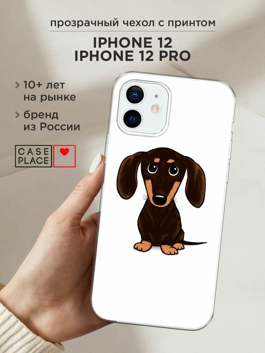 Чехол на Apple iPhone 12/12 Pro / Айфон 12/12 Про с принтом "Маленькая такса"