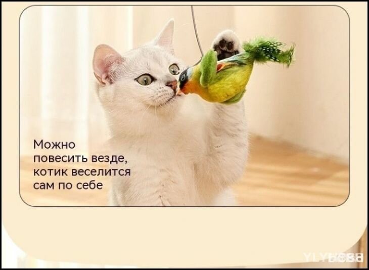 1 шт игрушки для кошек летающая птичка , игрушка для кошек, подвесные дразнилки на резинке,-DKD-CJ0831