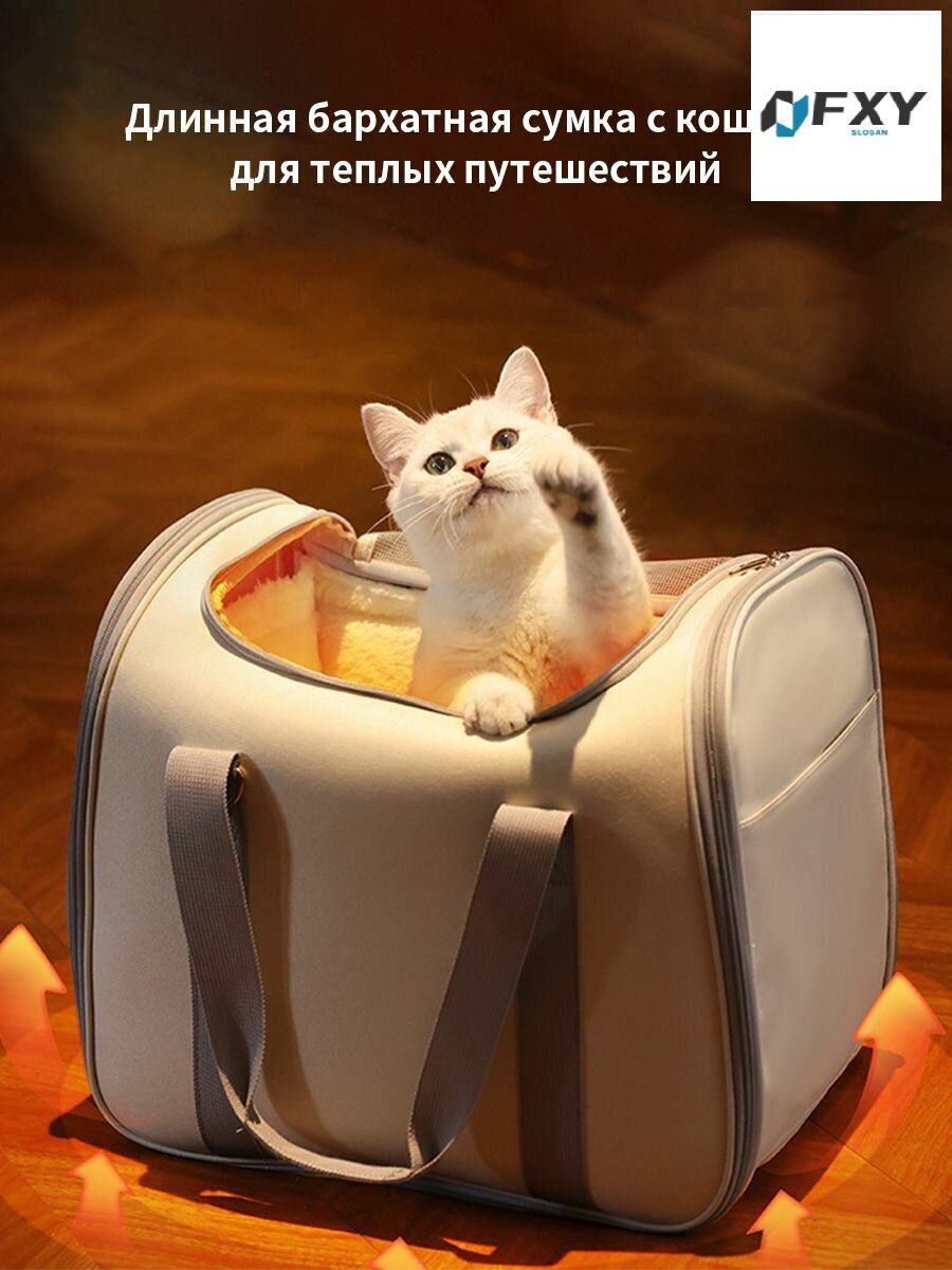БестселлерпереноскаБестселлерпереноскаБестселлерпереноскаБестселлерпереноска