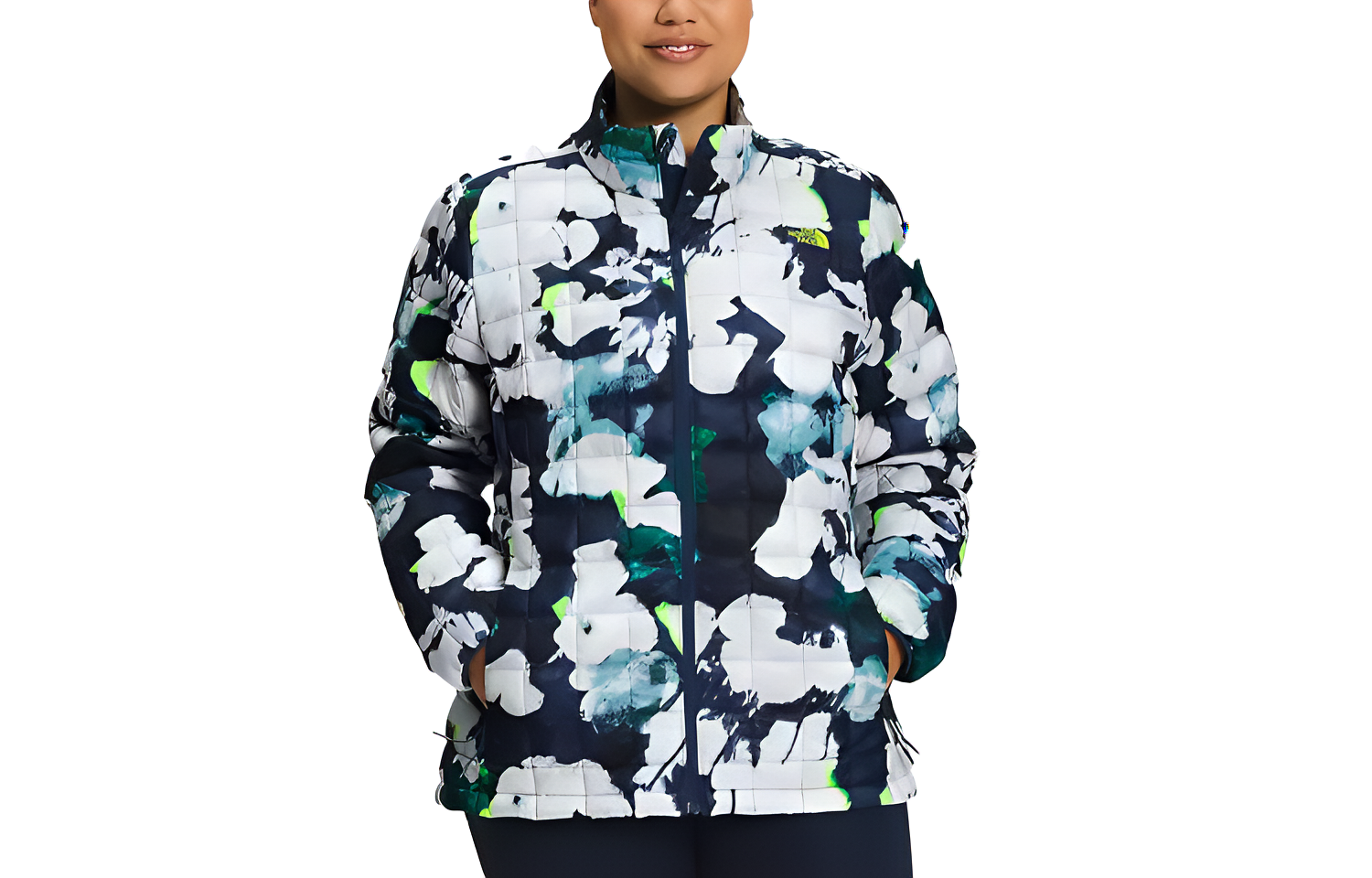 Куртка THE NORTH FACE