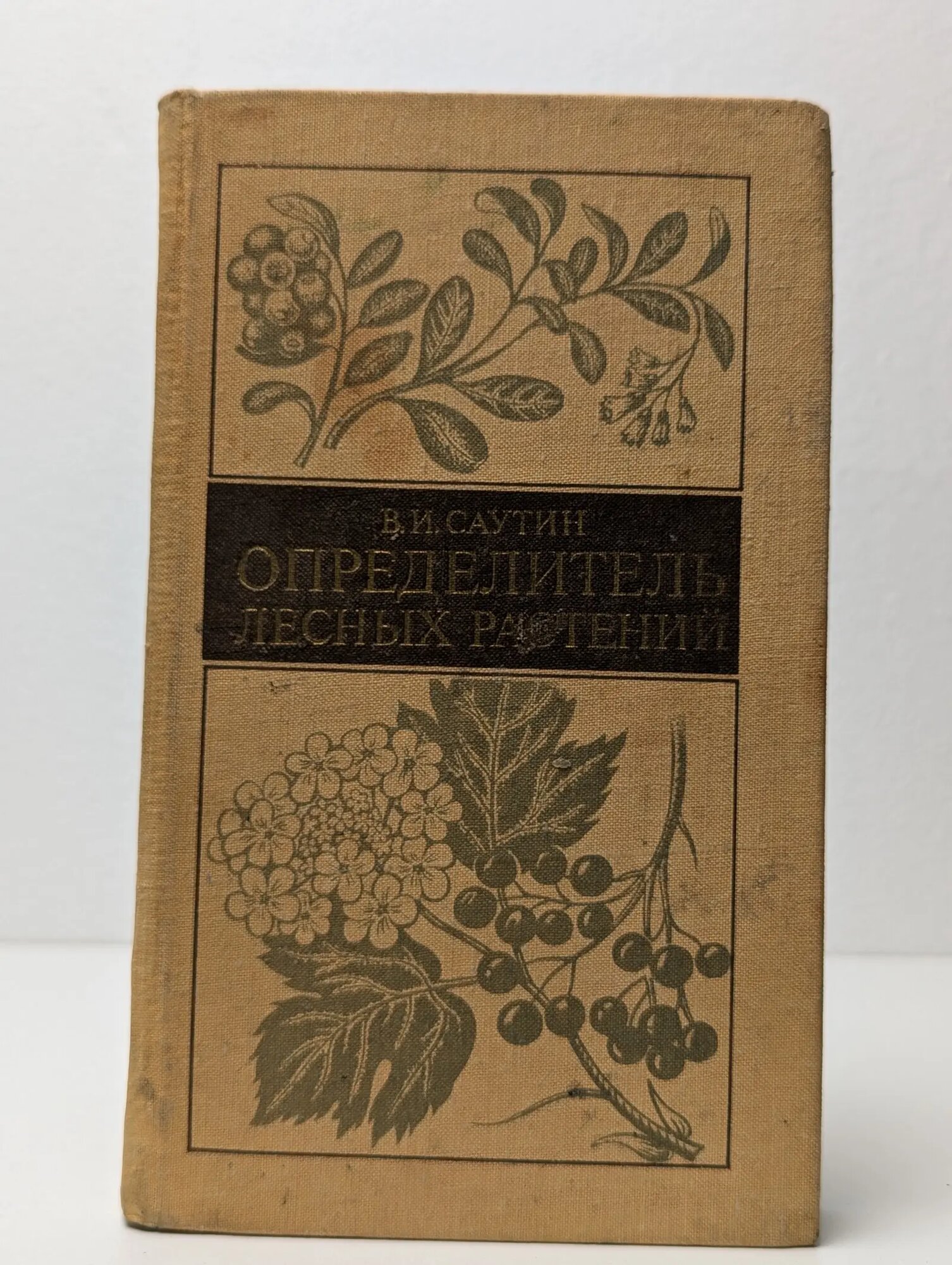 Определитель лесных растений Саутин Василий Иосифович 1978