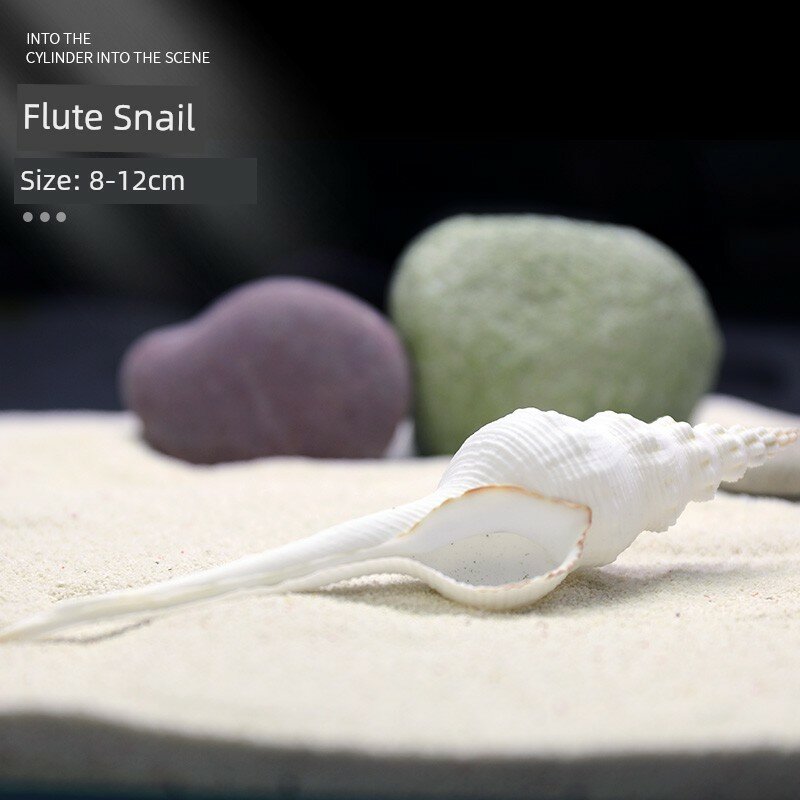 Натуральные раковины для аквариумов, декоративные раковины различных размеров, укрытия для рыб и креветок, места для