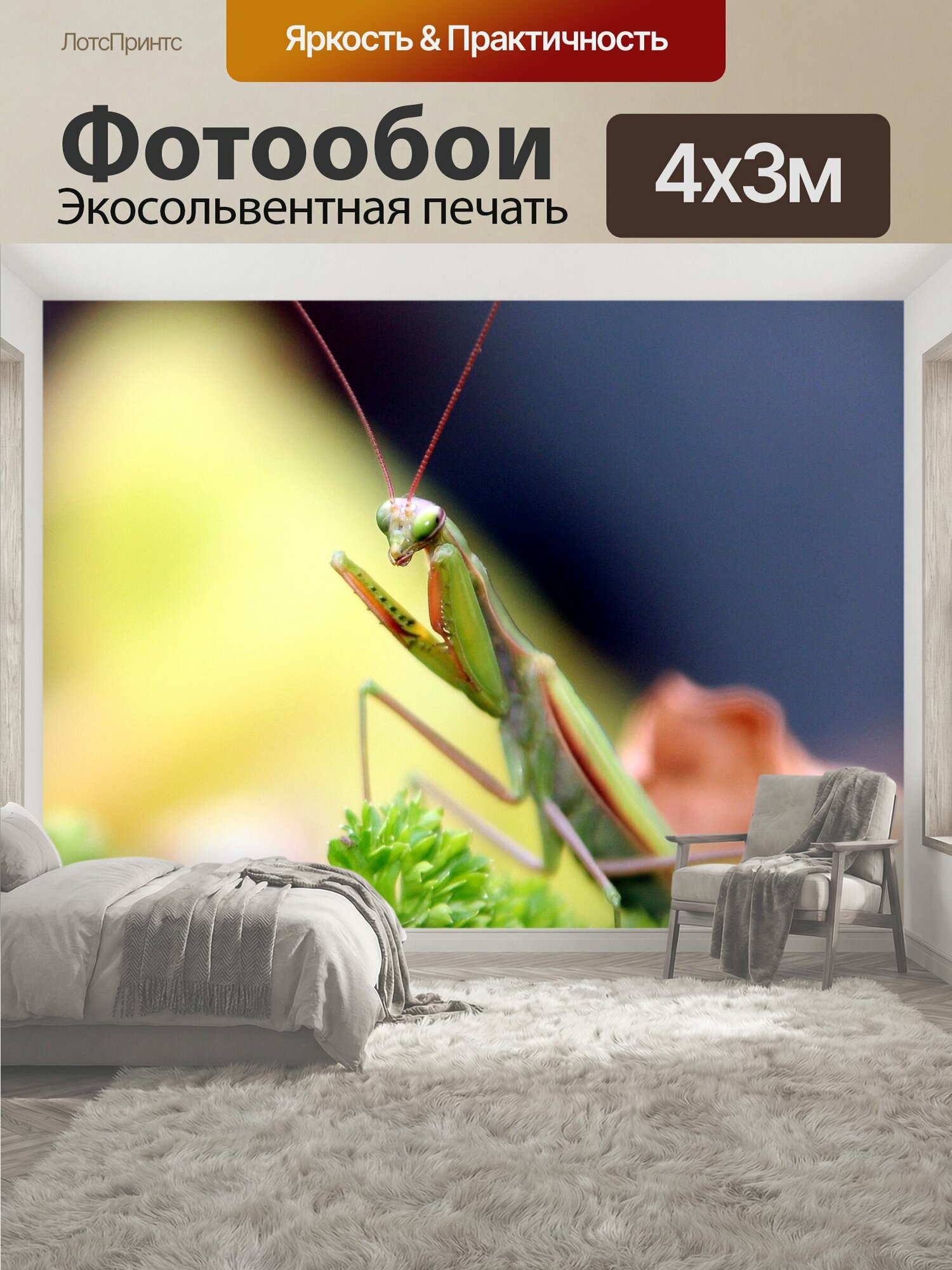 Фотообои "Насекомое, богомол, кузнечик" 400x300 см. экосольвентная печать