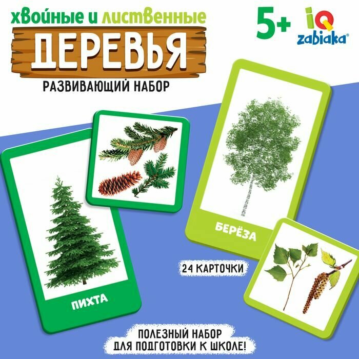 Развивающий набор для малышей "Хвойные и лиственные деревья", обучающие карточки с картинками, изучаем окружающий мир, развиваем речь и логику, 24 штук