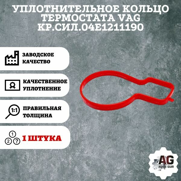 Уплотнительное кольцо термостата VAG кр. сил.04e1211190